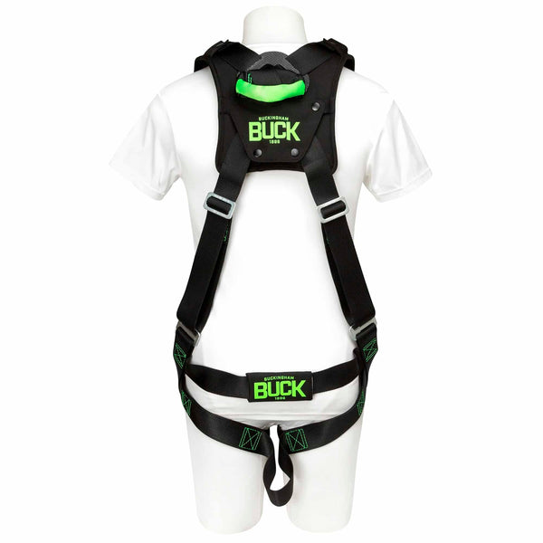 Buckingham Economy TrueFit Harness With Back Pad And Web Dorsal Loop ...